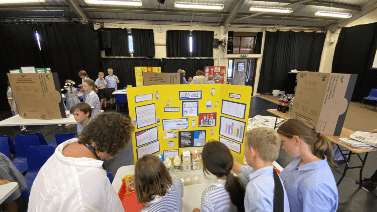 Year 6 pupils created some fantastic displays for the annual Science ...